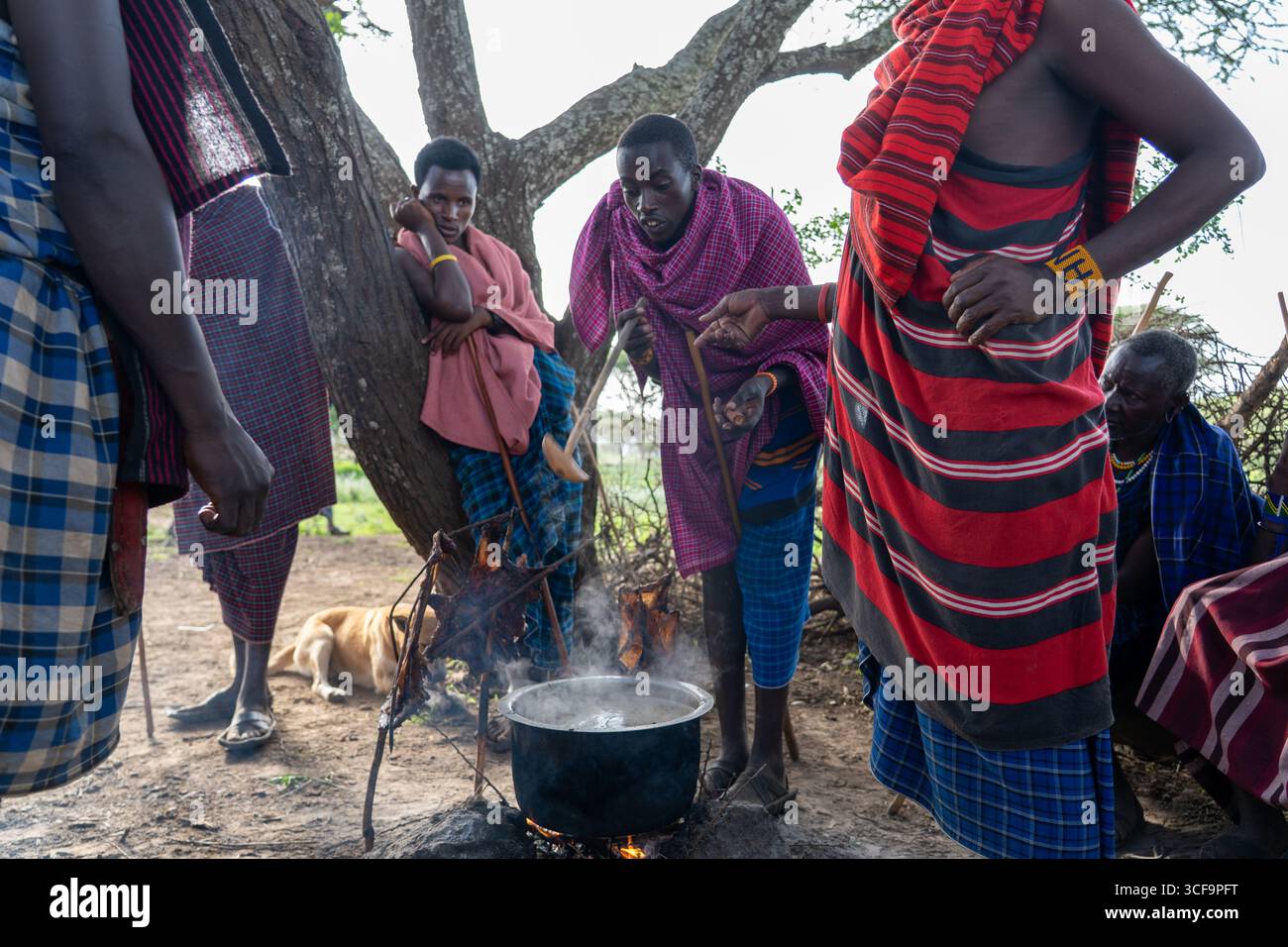 Maasai Men Cooking in Village, Tanzania Stock Photo - Alamy