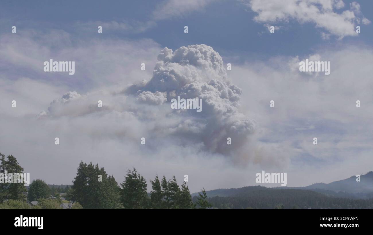 Trees threatened fire hi-res stock photography and images - Alamy