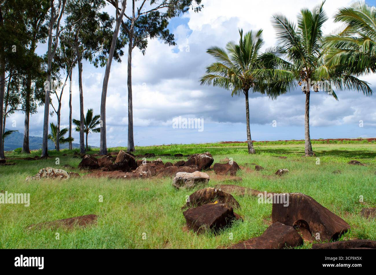Kukaniloko Birthstones State Park, Wahiawa, Oahu, Hawaii, USA ...