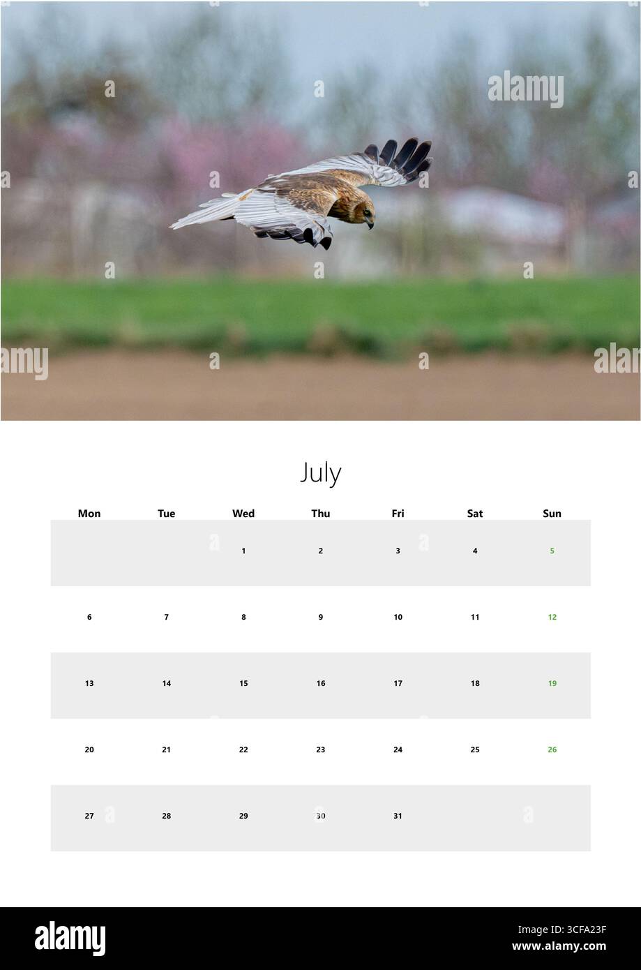 A3 Print-Friendly 2026 Flip Calendar Featuring April With Bird Images ...