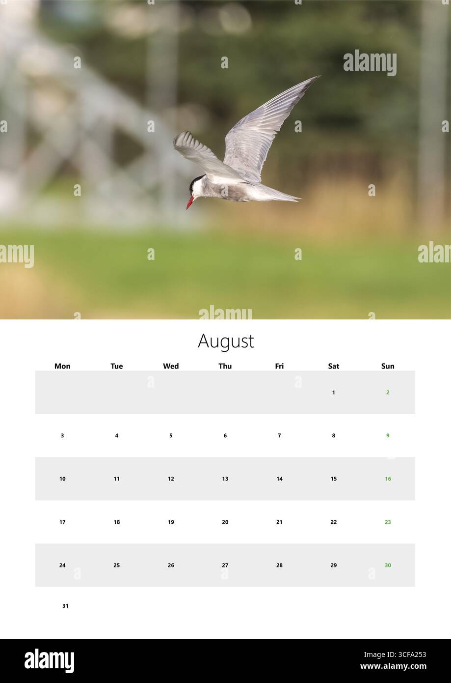 Wildlife printable page hi-res stock photography and images - Alamy