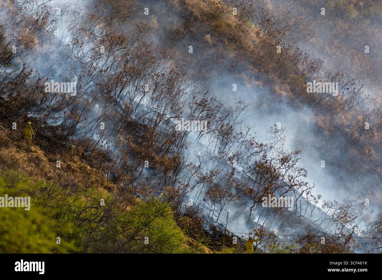 Hawaii fire department hi-res stock photography and images - Alamy