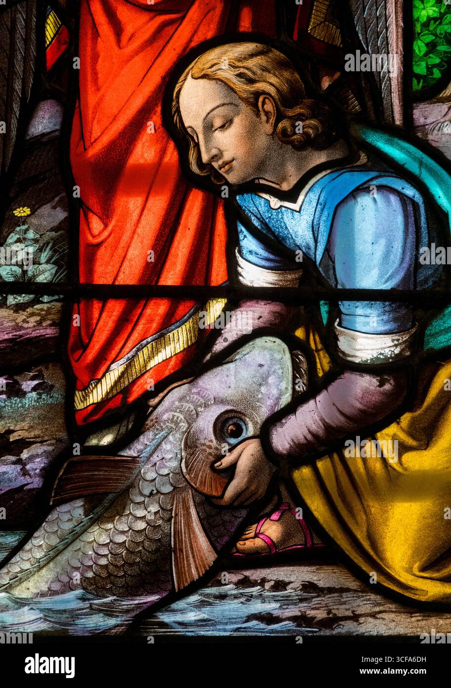 Stained glass (19th century) of Tobias with the fish Stock Photo - Alamy