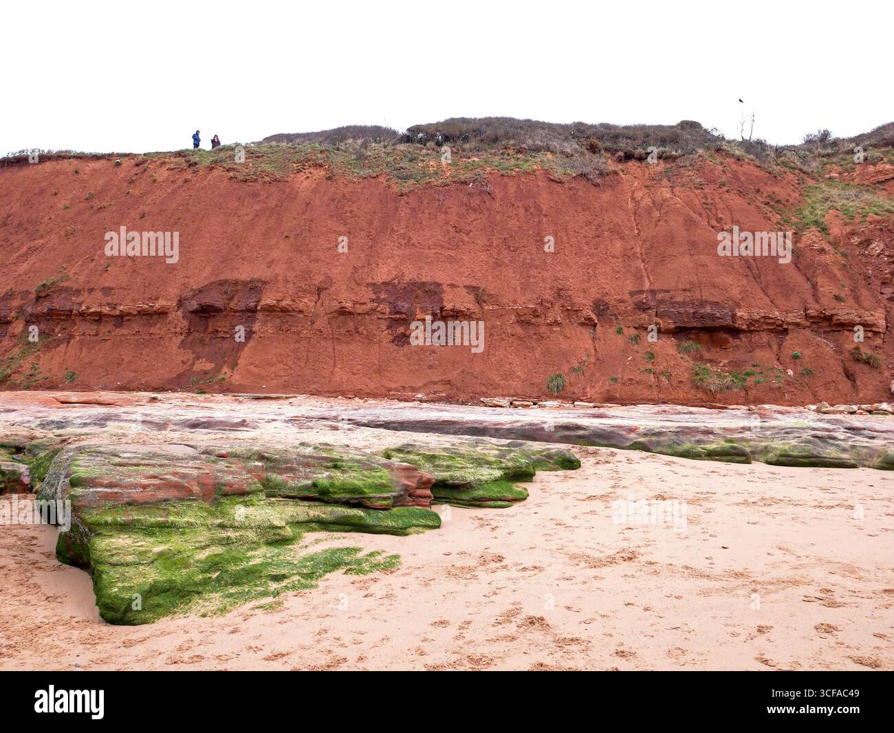 Red Sandstone Triassic Cliffs at Rodney Point on the Jurassic Coast ...