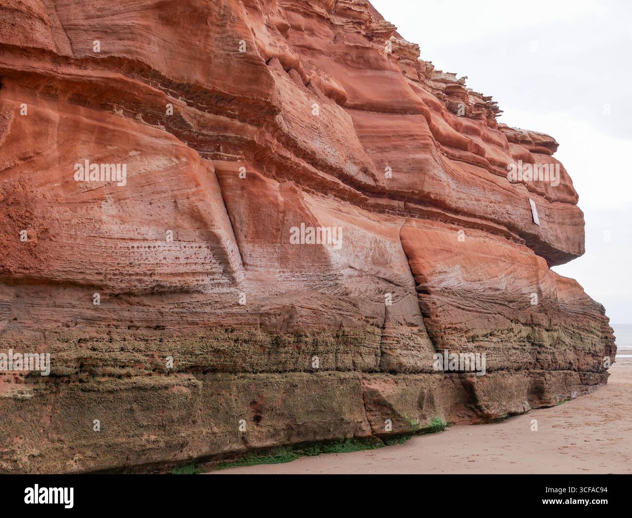 Red Sandstone Triassic Cliffs at Rodney Point on the Jurassic Coast ...