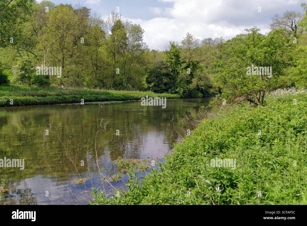 The scenic River Lathkill in Lathkill Dale, Derbyshire, England UK ...