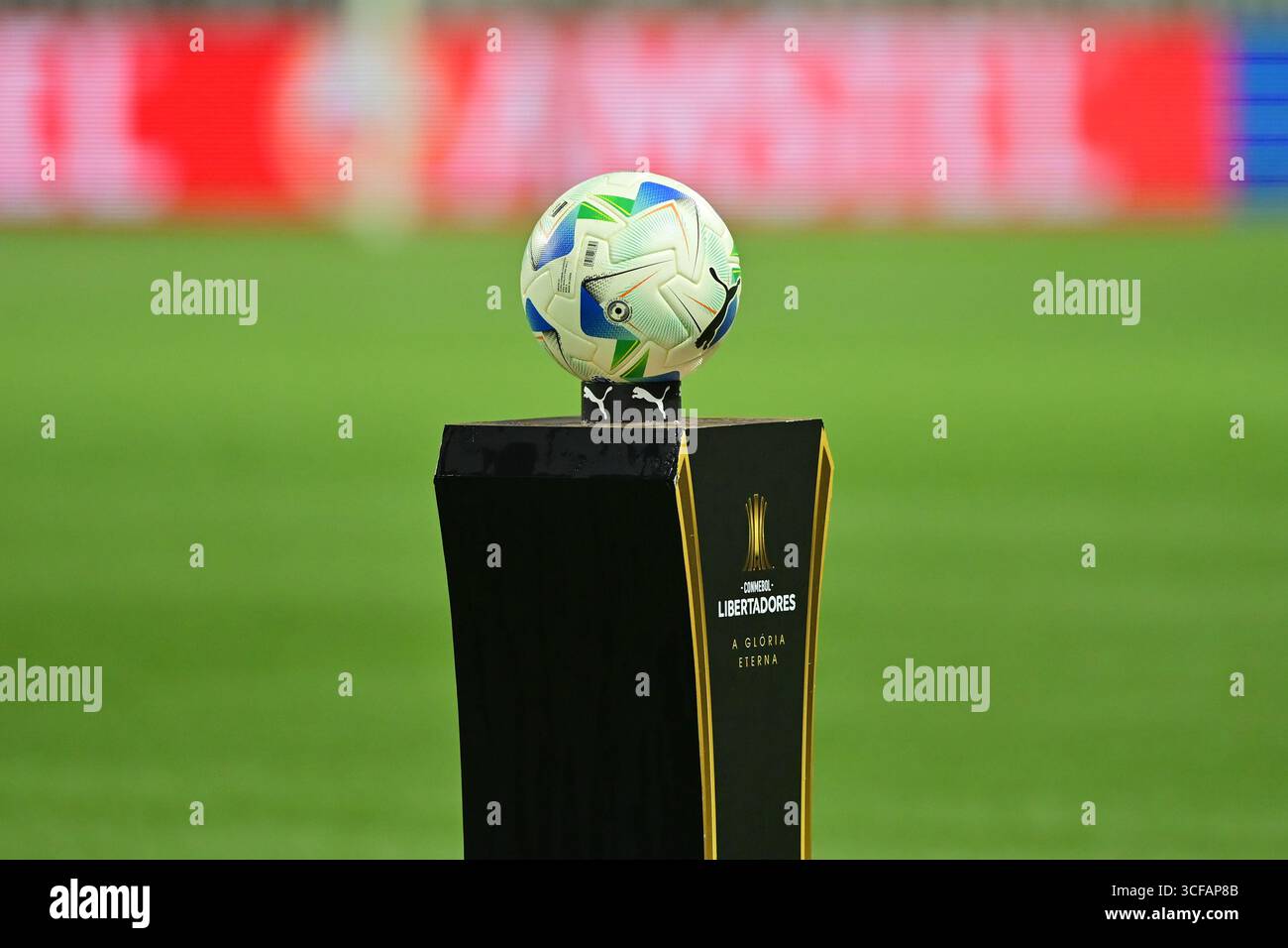 Palmeiras universitario 2025 hi-res stock photography and images - Alamy