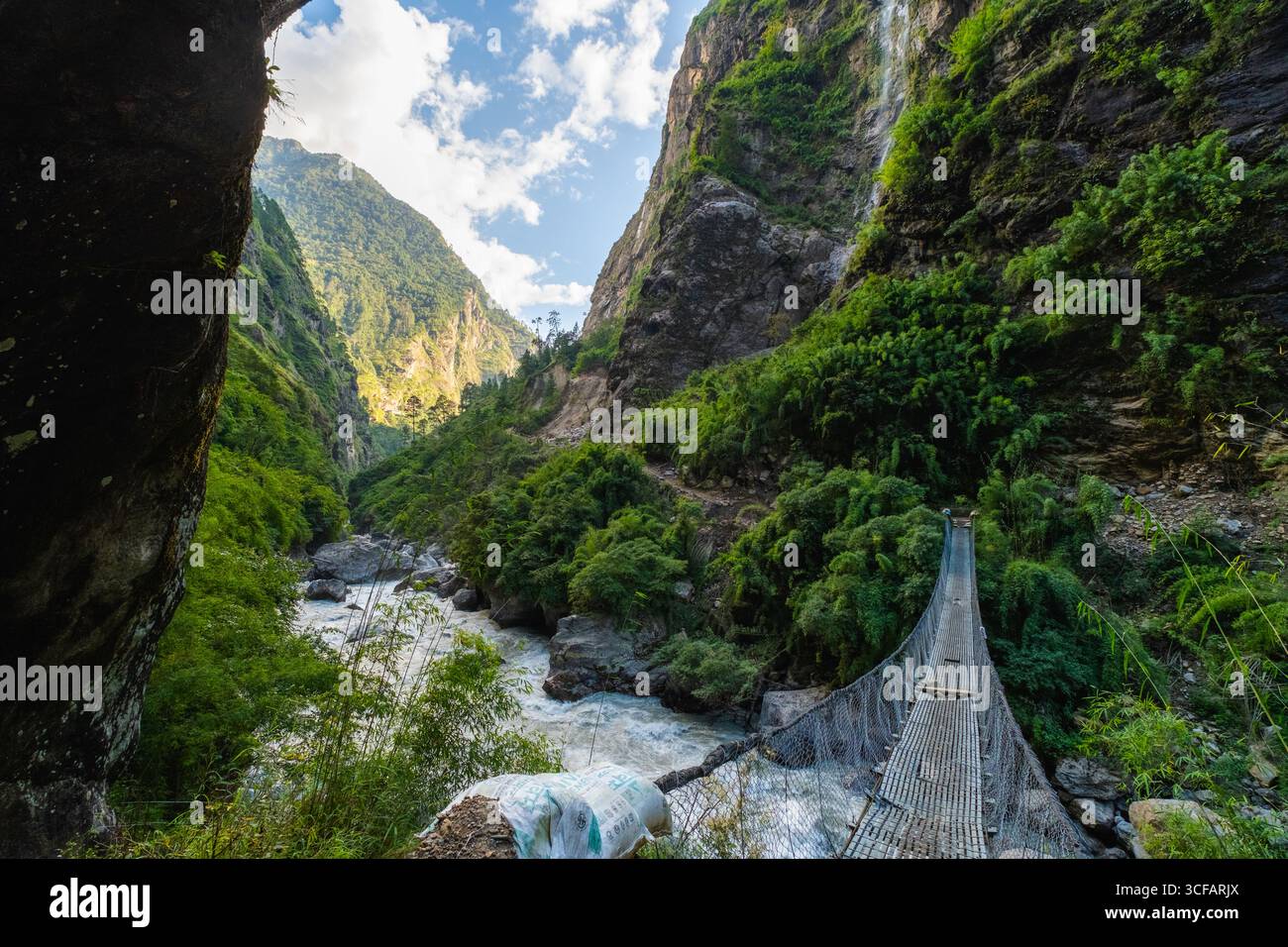 Trekking path through lush Himalayan valley, Nepal Stock Photo - Alamy