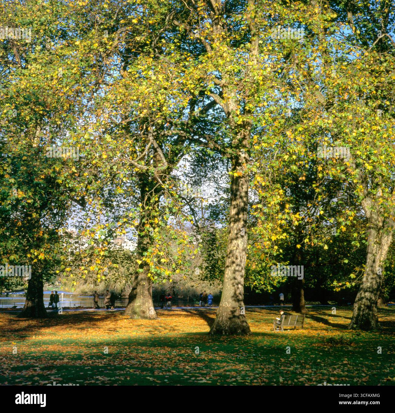 London's oldest royal park established by Henry VIII in 1532, St. James ...