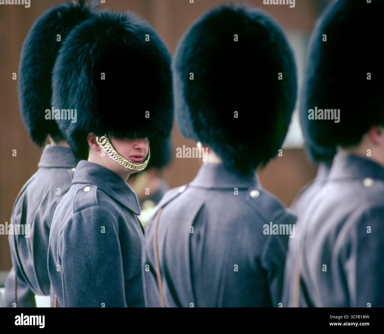 Welsh Guards wearing bearskin hats and grey coats at morning inspection ...