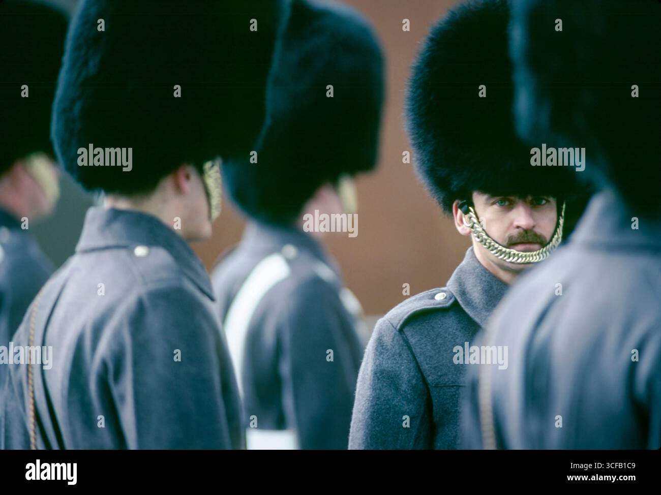 Welsh Guards wearing bearskin hats and grey coats at morning inspection ...