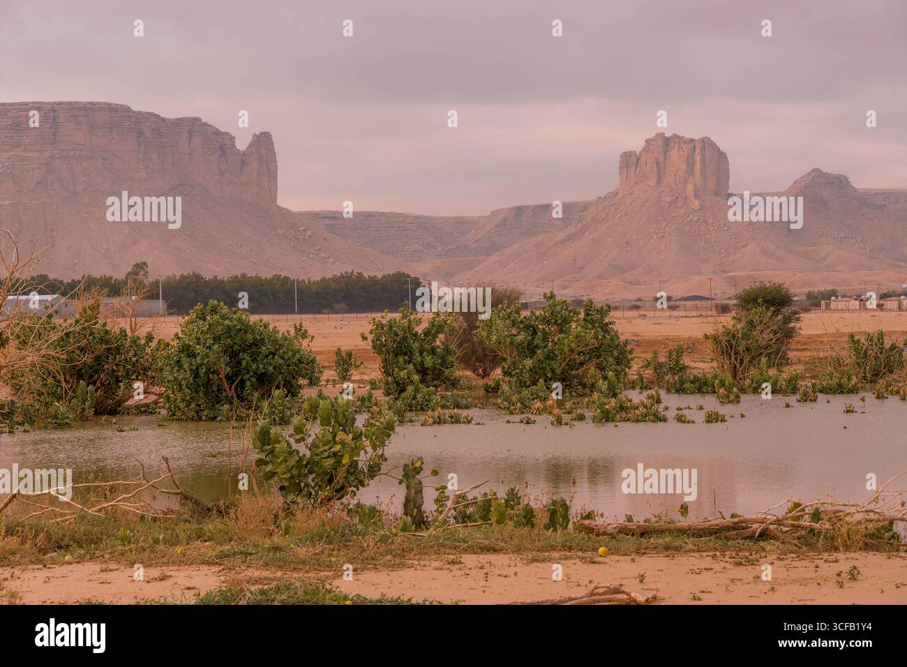 Arabian Peninsula in Saudi Arabia unveils vast desert plains and rugged ...