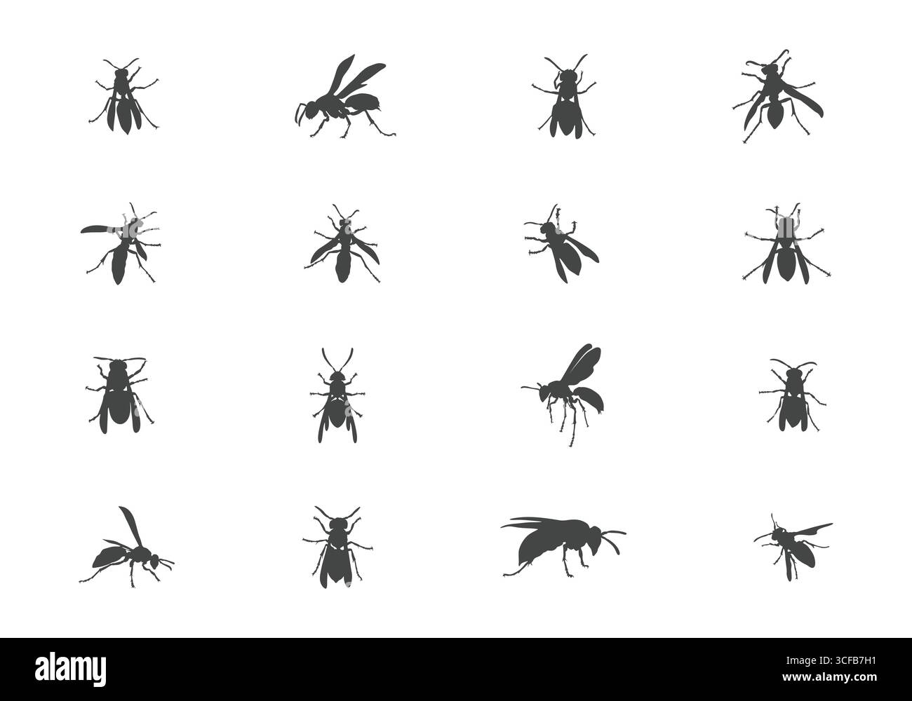 Wasp svg, Wasp silhouette, Wasp drawing, Hornet silhouette, Hornet svg ...