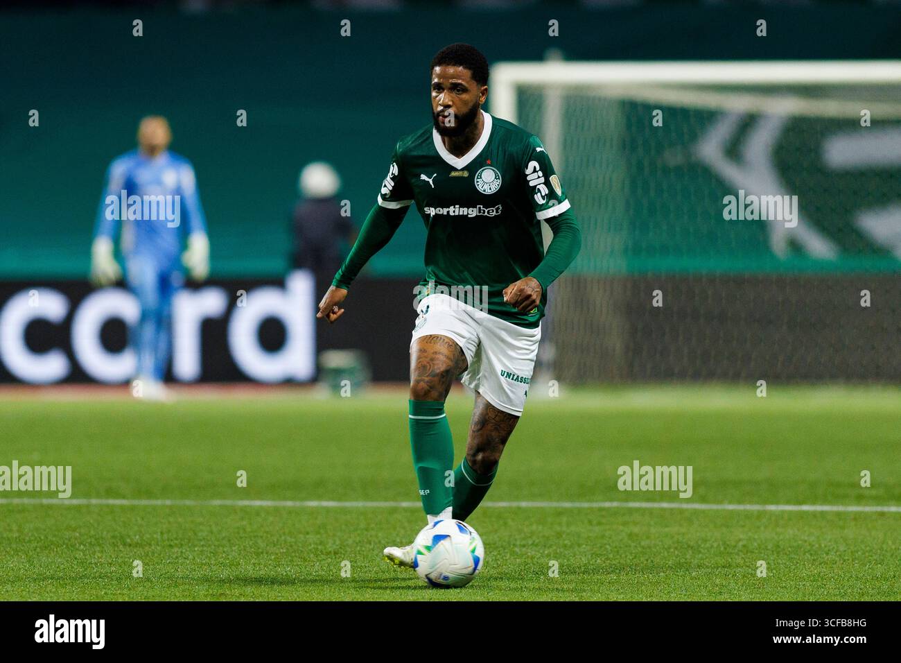 São Paulo, Brazil - August 21: Micael Silva of Palmeiras runs with the ball during the Copa ...