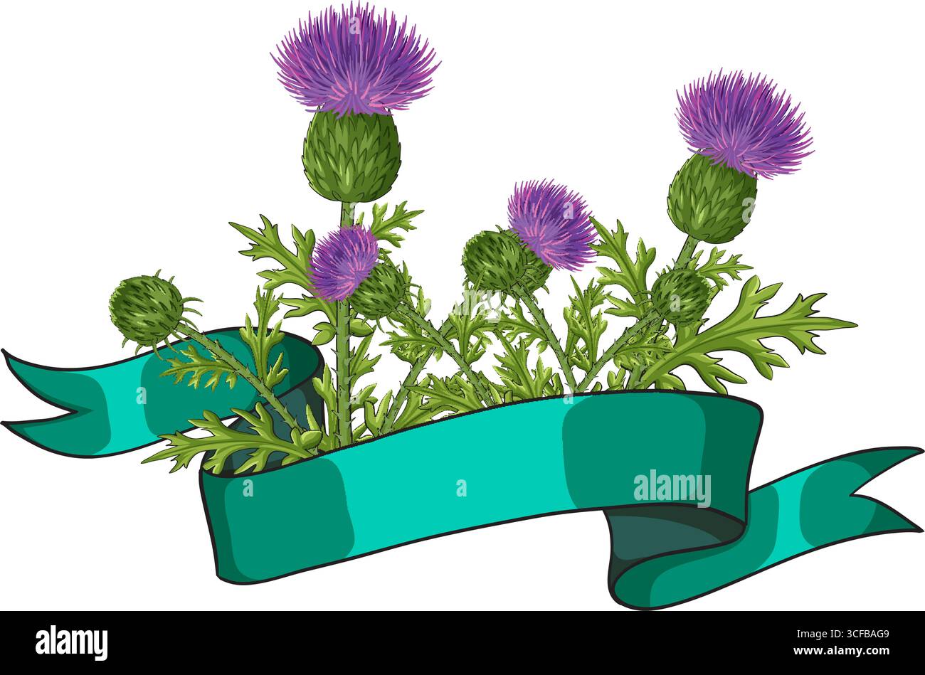 Vector illustration of blooming purple thistle flowers and spiky green ...