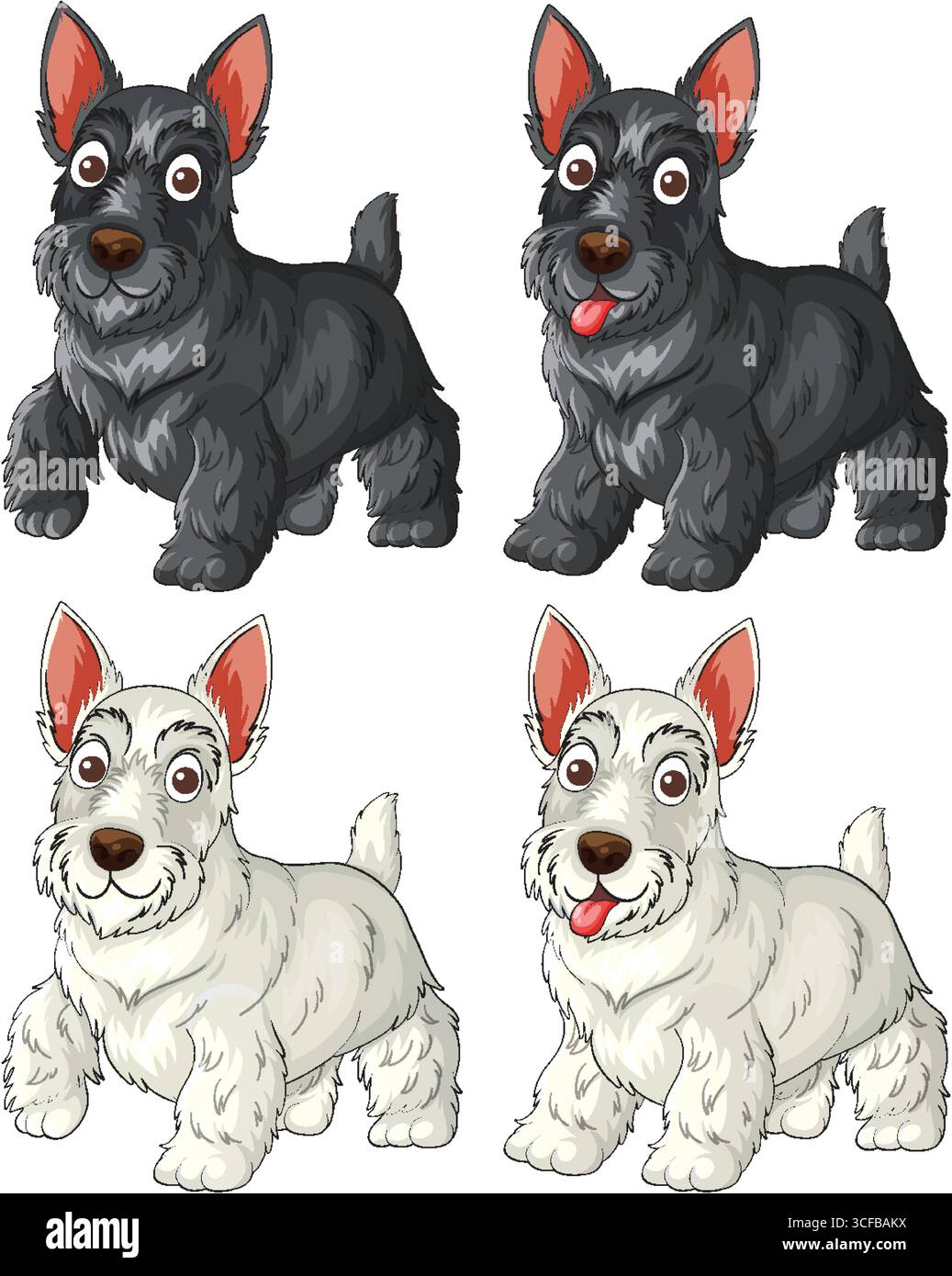Vector illustration of four Scottish Terrier dogs, two black and two ...