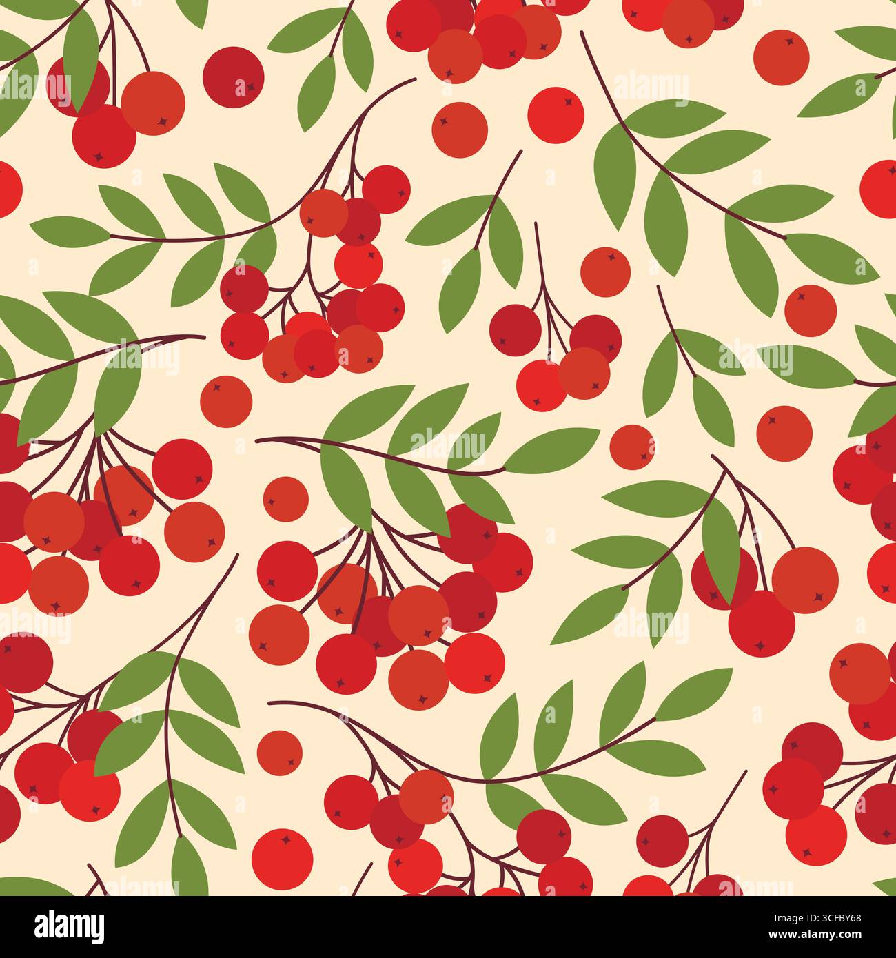 Rowanberry vector vectors Stock Vector Images - Alamy