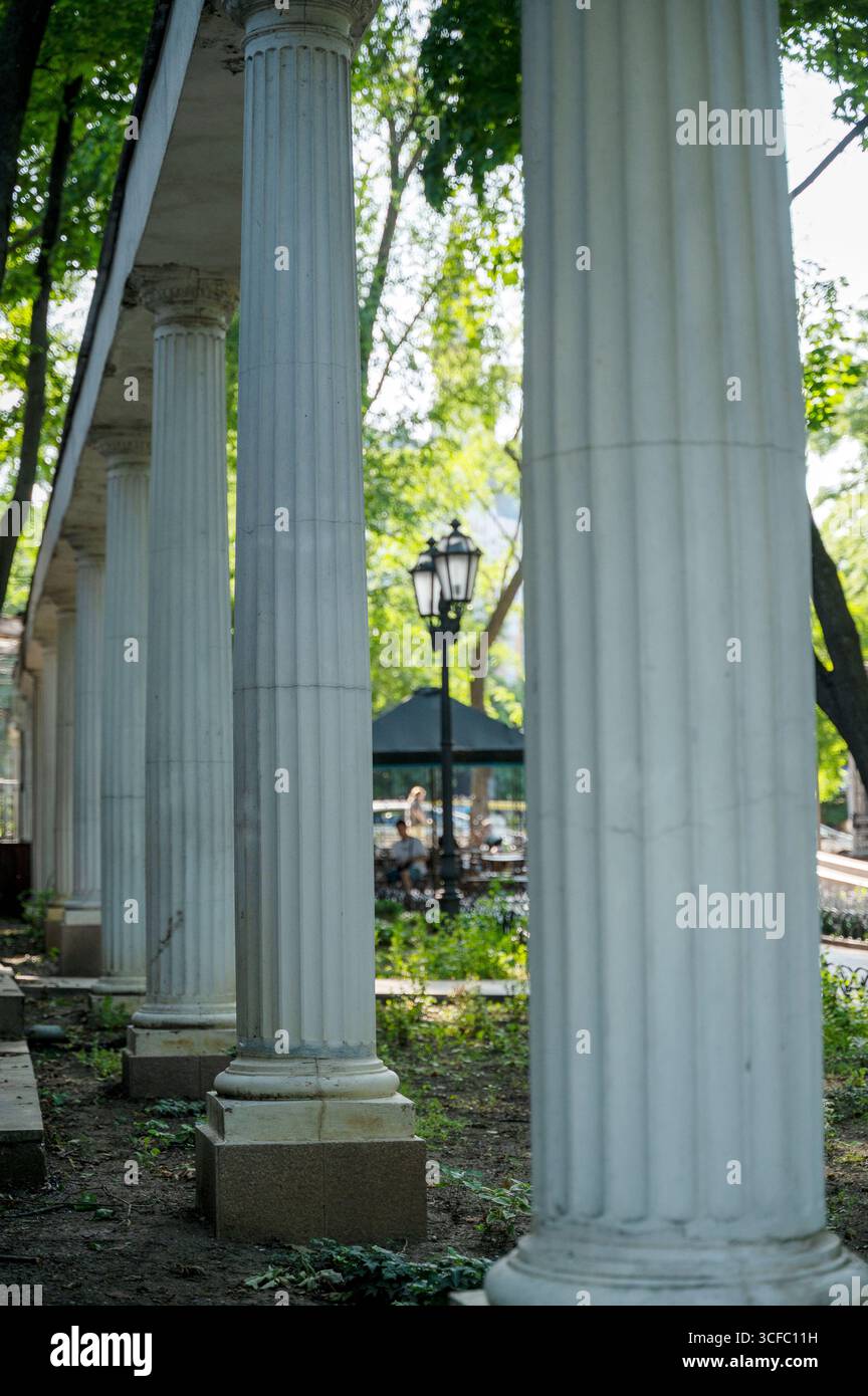 Relaxation park green columns hi-res stock photography and images - Alamy
