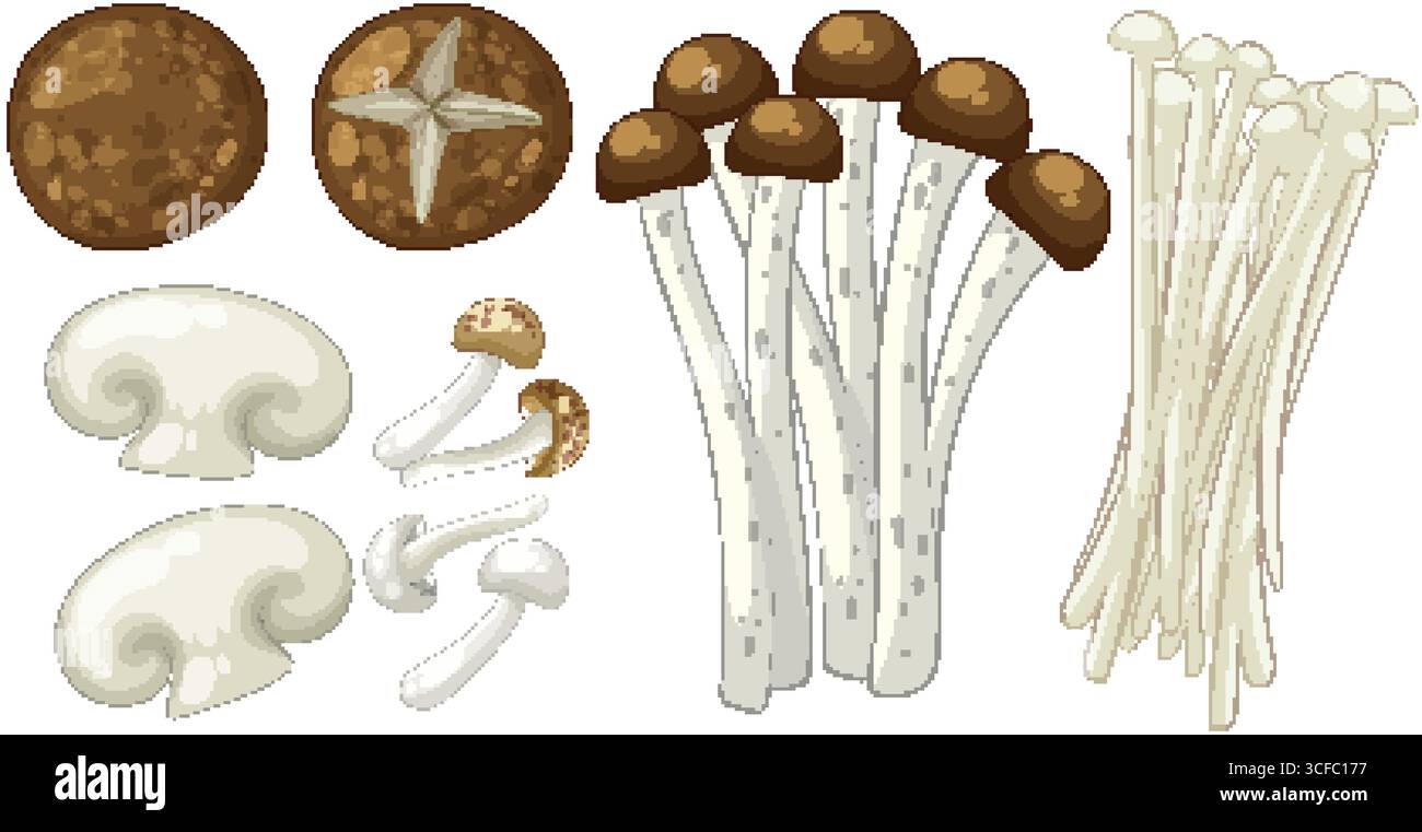 Illustration of various mushrooms with detailed textures and earthy ...
