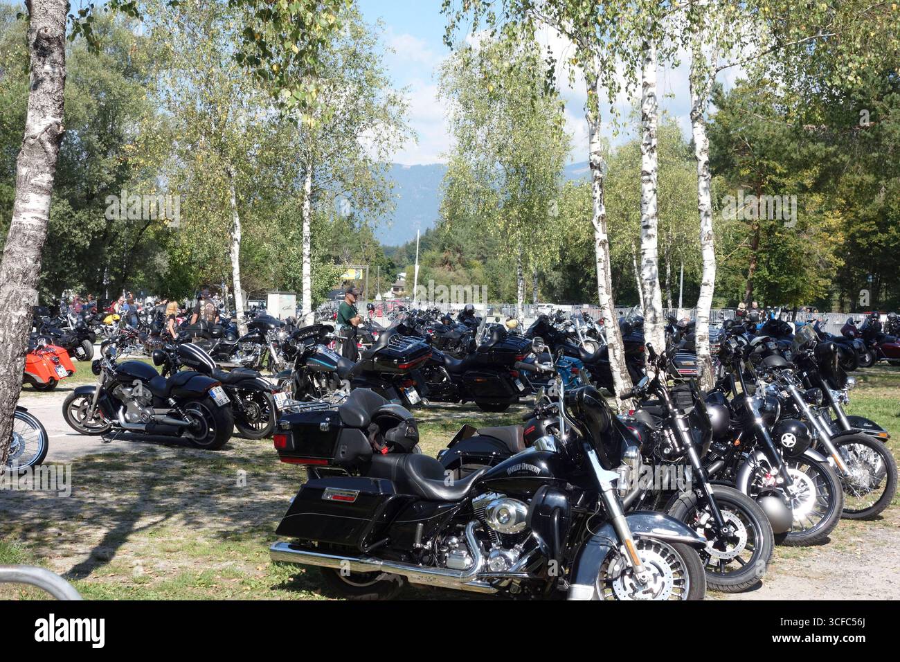 Harley Davidson a famous motorcycle brand, road traffic and mobility on ...