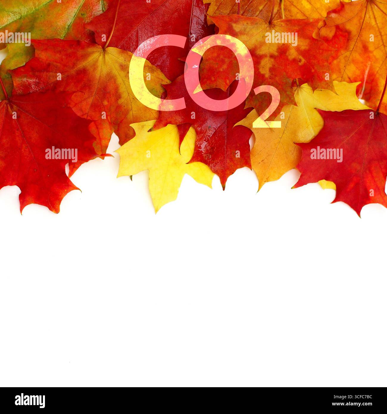 Red autumn leaves border with CO2 letters on white background Stock ...