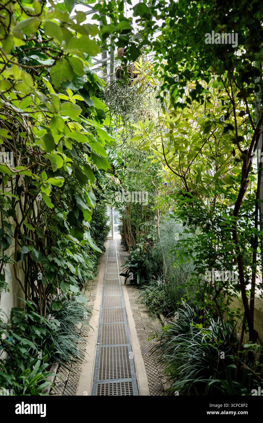 Serene botanical study hi-res stock photography and images - Alamy