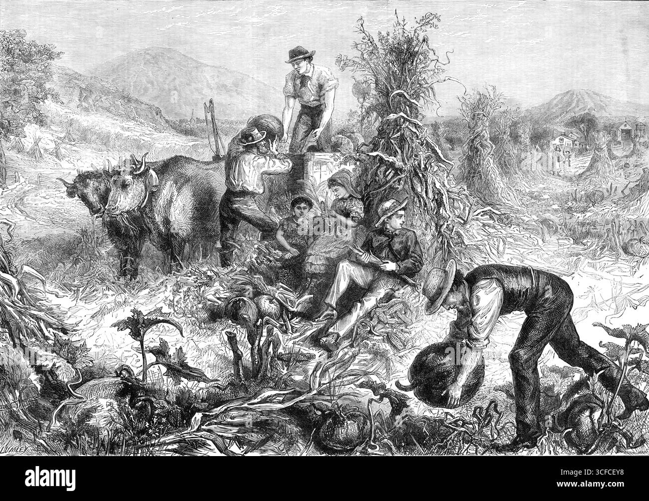 Vegetable husk Black and White Stock Photos & Images - Alamy