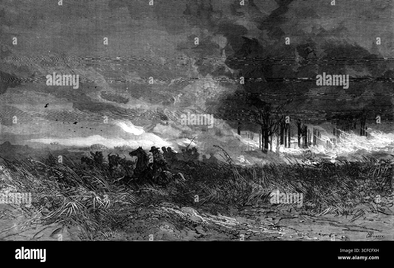 People plant new trees Black and White Stock Photos & Images - Alamy