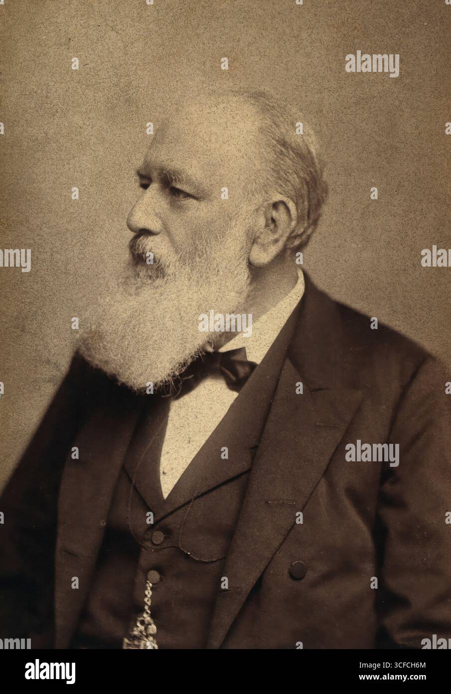 Christian Albert Theodor Billroth Stock Photo - Alamy