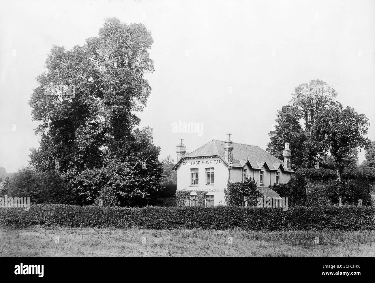 English cottage plant Black and White Stock Photos & Images - Alamy