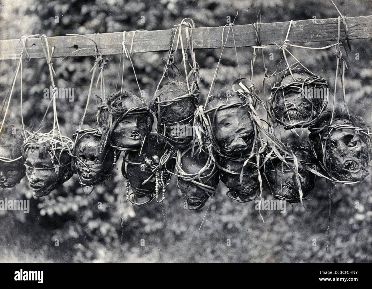 Sarawak: preserved and decorated human heads taken and strung up by Sea ...