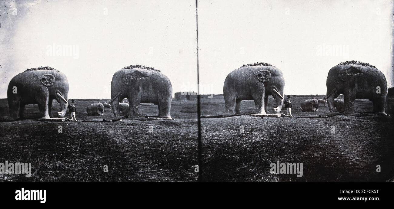 Nanking, Kiangsu province, China, 1871, (1981 Stock Photo - Alamy