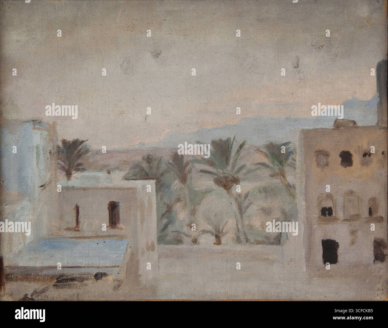 Spain elche palm grove trees unesco world heritage site hi-res stock ...