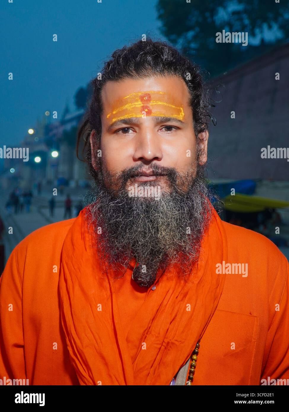 Portrait of a Young Hindu Sadhu (Holy Man) with a Tripundra forehead ...