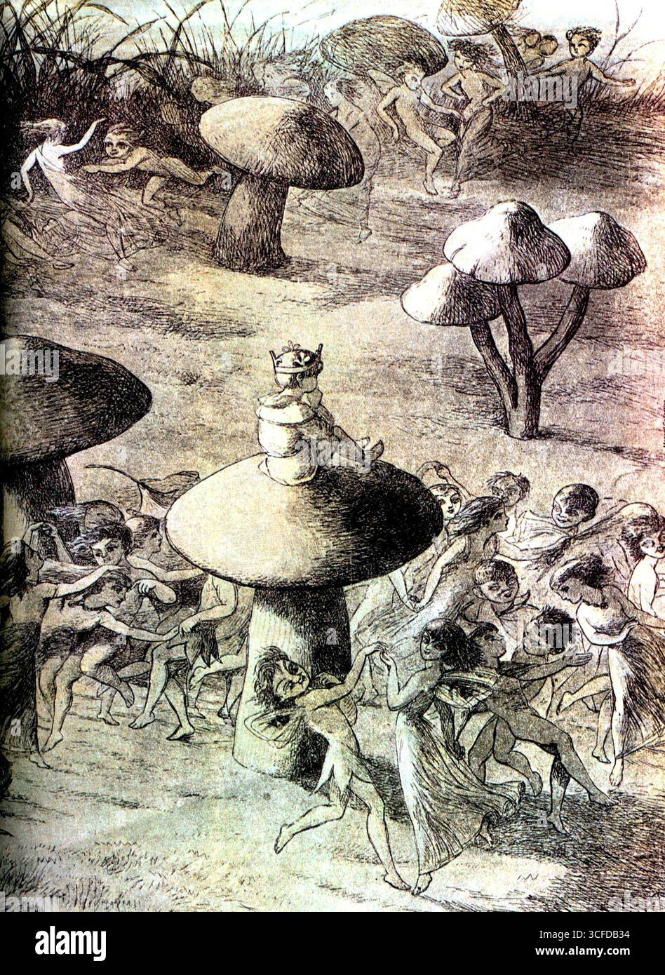 The sacred mushroom has been identified as the toadstool traditionally ...