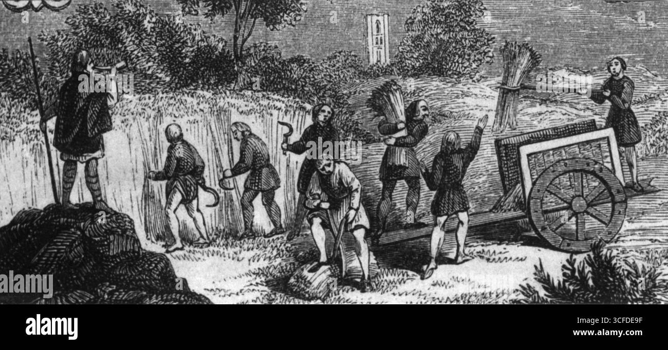 Agricultural Machinery : Farming in the Middle Ages , Saxons harvesting ...