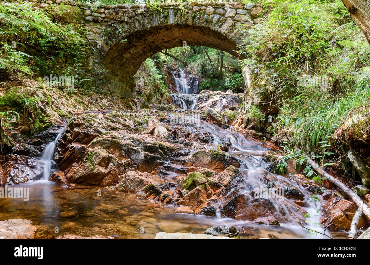 Scenic view of Rio Cavallizza waterfalls in Cuasso al Monte, Valceresio ...