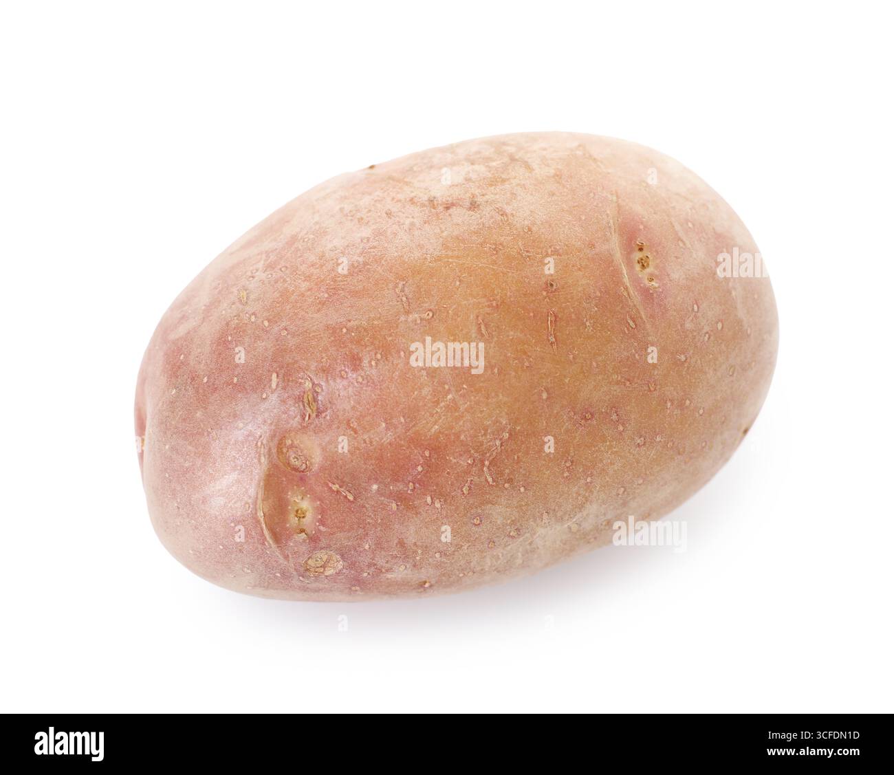 One fresh ripe potato isolated on white Stock Photo - Alamy