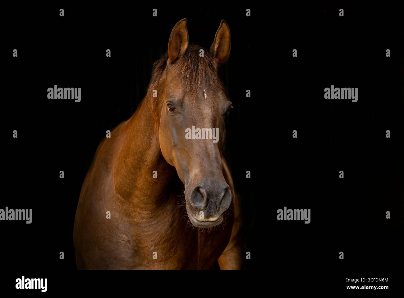 Eypression hi-res stock photography and images - Alamy