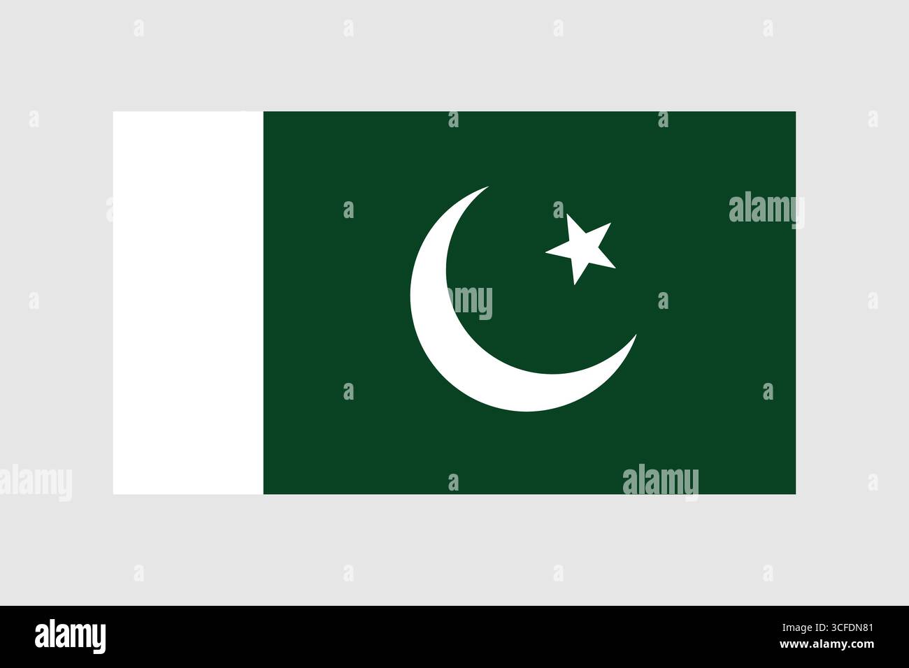 Pakistan National Flag with Crescent and Star Stock Vector Image & Art ...