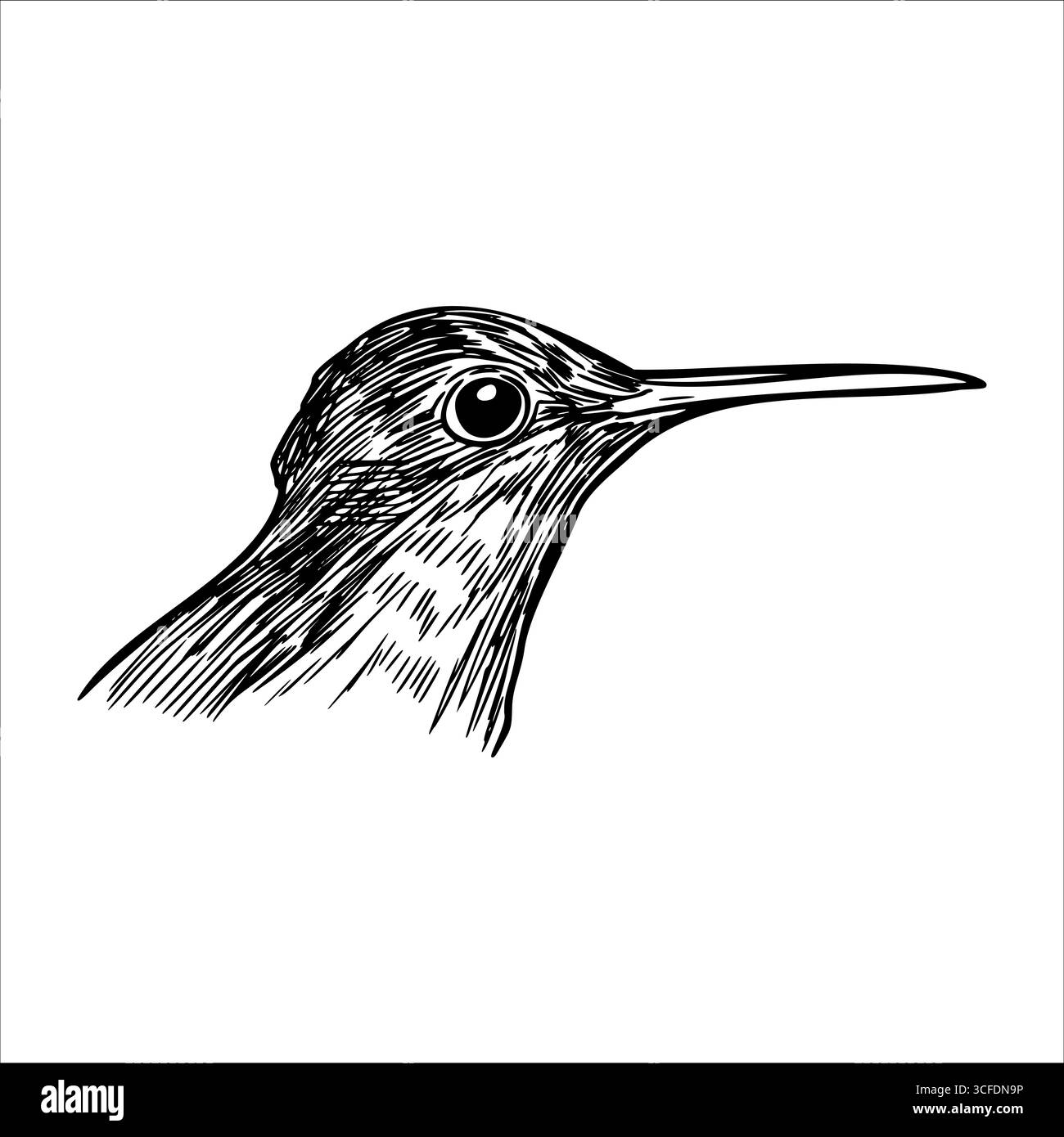 Profile showcasing Stock Vector Images - Alamy