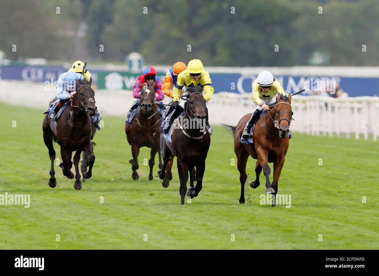 Lifeplan ridden by Zak Wheatley on their way to winning the Al Basti ...