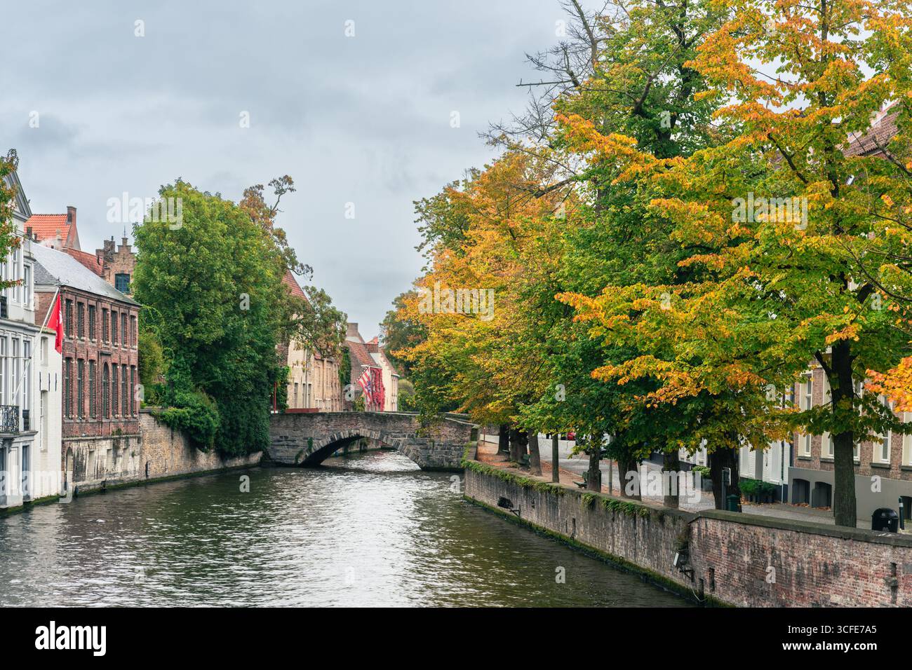 Street view featuring trees hi-res stock photography and images - Alamy