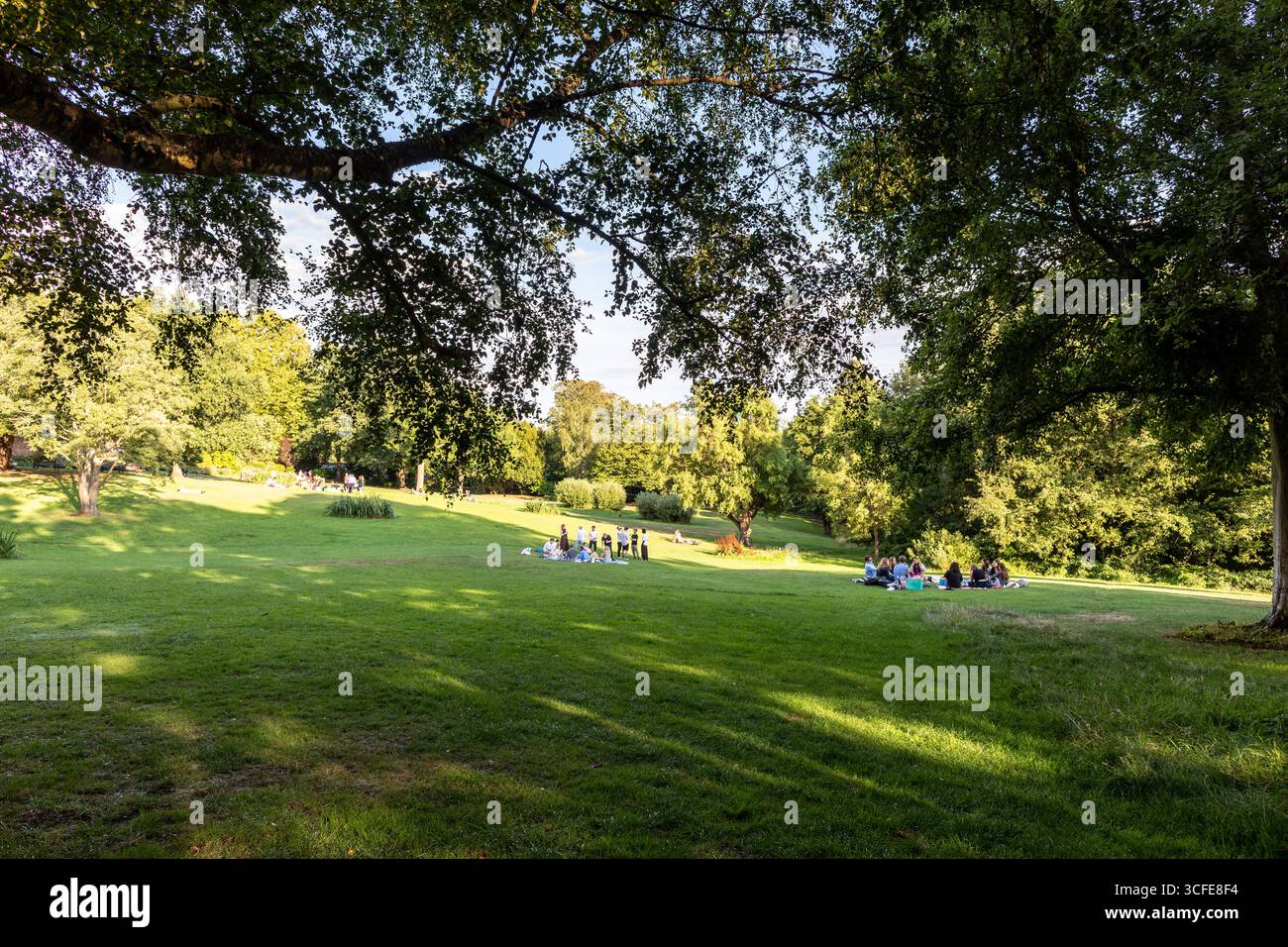 Summer in waterlow park hi-res stock photography and images - Alamy