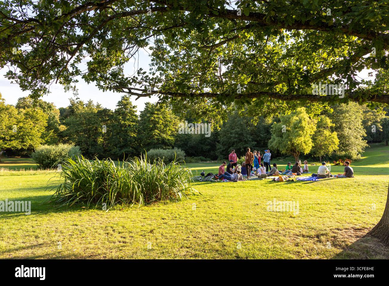 Summer in Waterlow Park Highgate London UK Stock Photo - Alamy