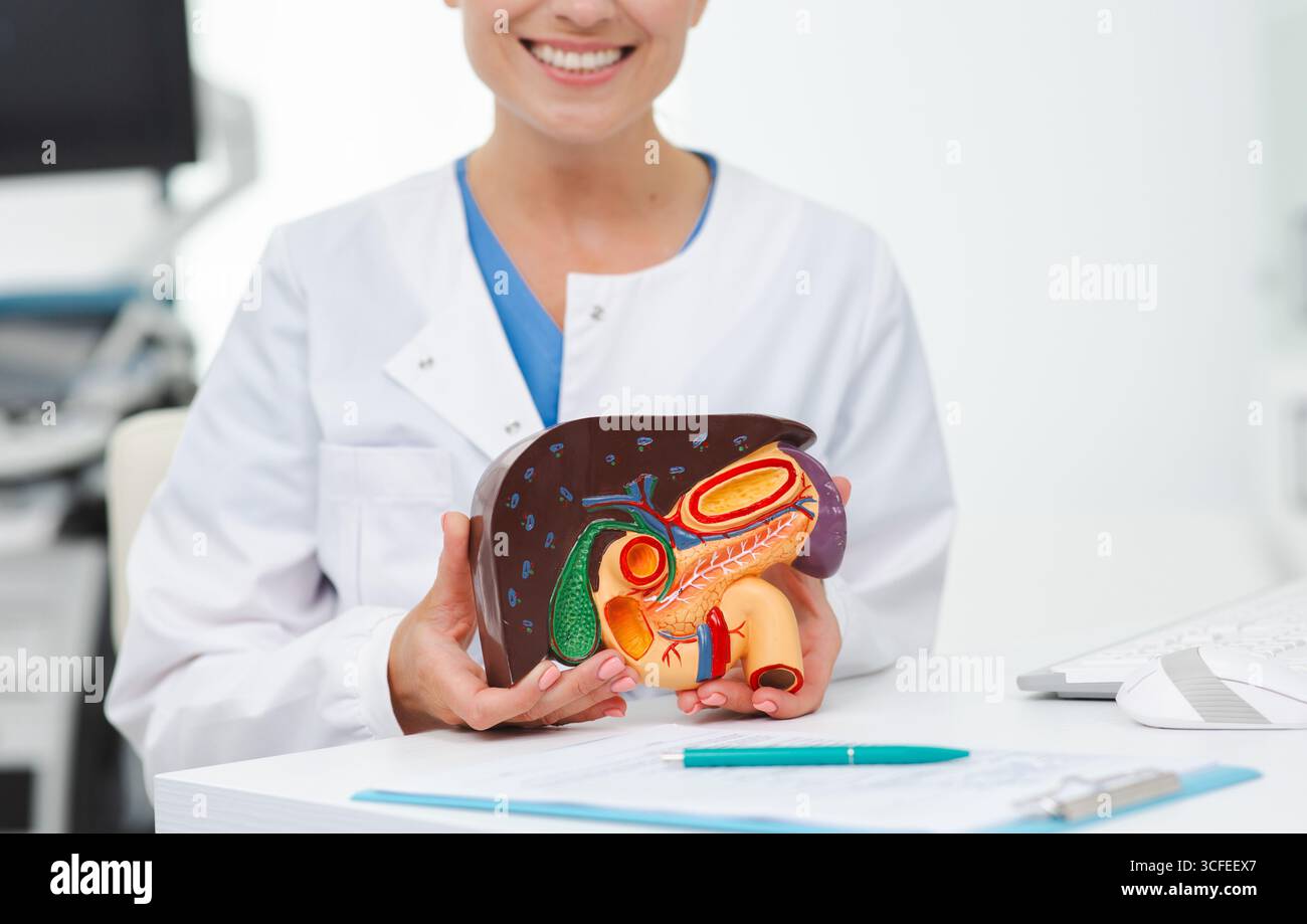 Treatment liver diseases in medicine, conceptual image. Liver ...