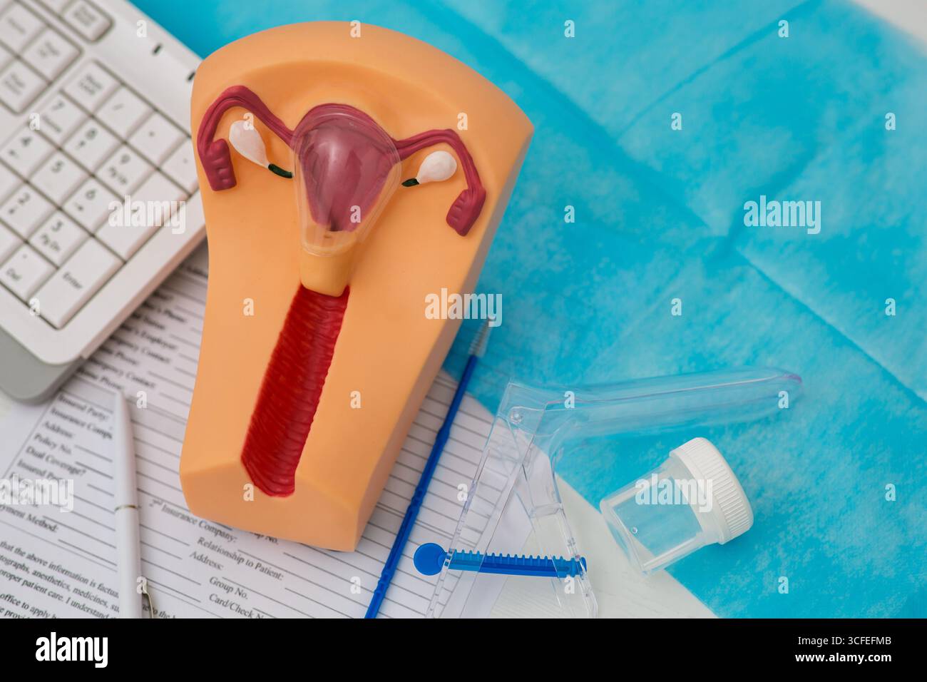 Women's health. Gynecological examination set and model of cervix on ...