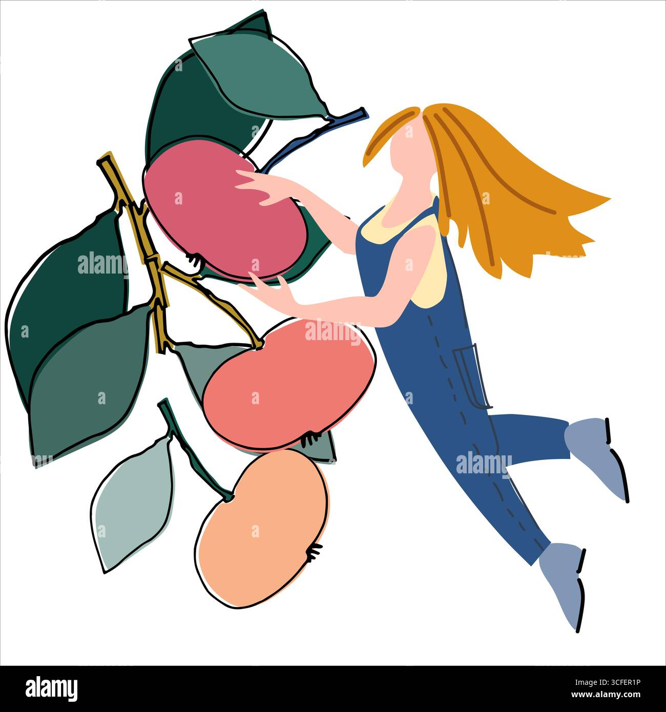 Women picking apples vector illustration. Harvesting concept ...