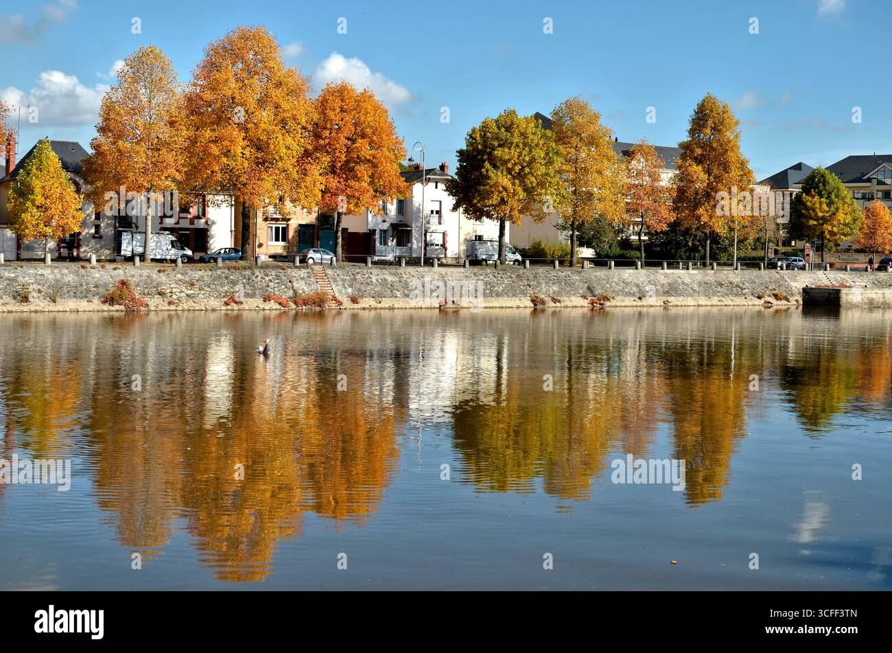 The river Mayenne at Laval with fall foliage trees, commune in the ...