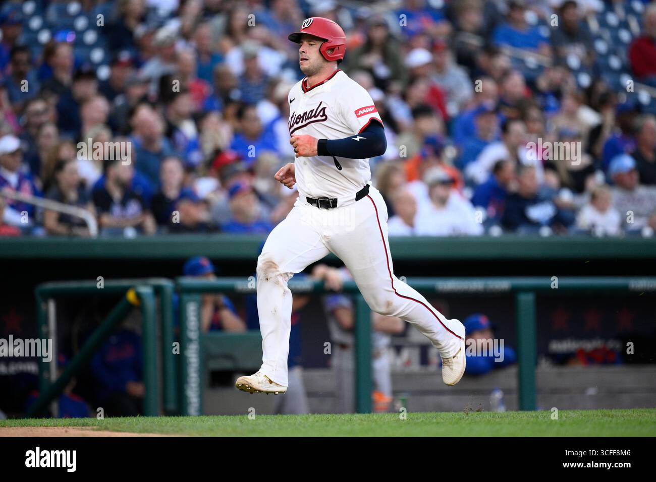 Washington Nationals' Riley Adams in action during a baseball game ...